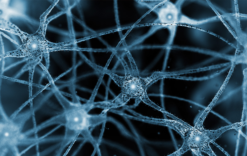 What to Know About ALS | HealthFocus SA | University Health